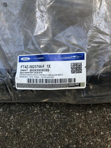 Genuine FORD OEM 15-16 Edge Window Glass Rear Door-Run Channel Right | eBay