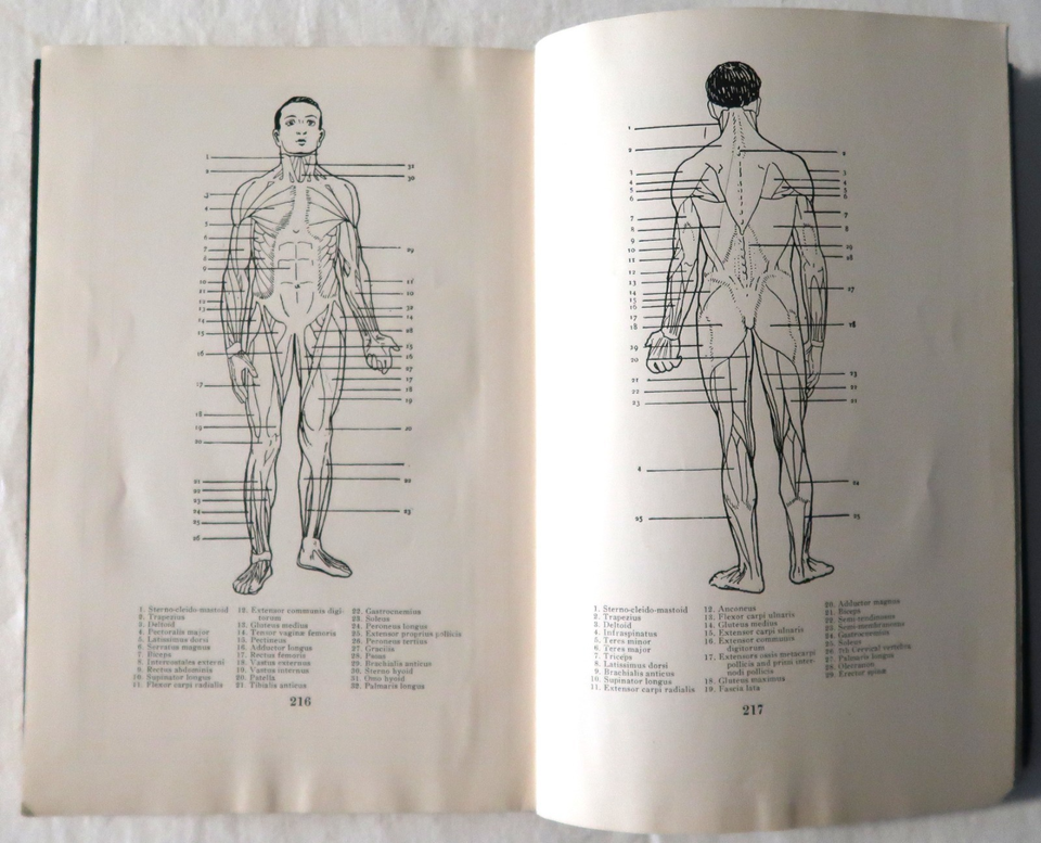 Book Muscle Building Earle Liederman 1927 | eBay