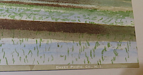 1898 HONOLULU FRANK DAVEY PERSONAL STUIDO ALBUM REMOVING PAGE PHOTOS ...