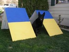 Dog Agility Equipment Mini A-Frame / A Frame / AFrame | eBay