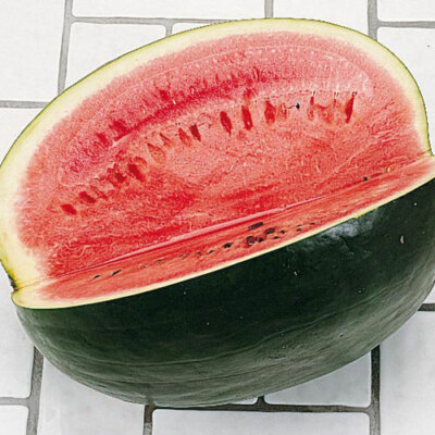 Black Diamond Watermelon Seeds | 10 - 200 Seeds | Non-GMO | Free ...