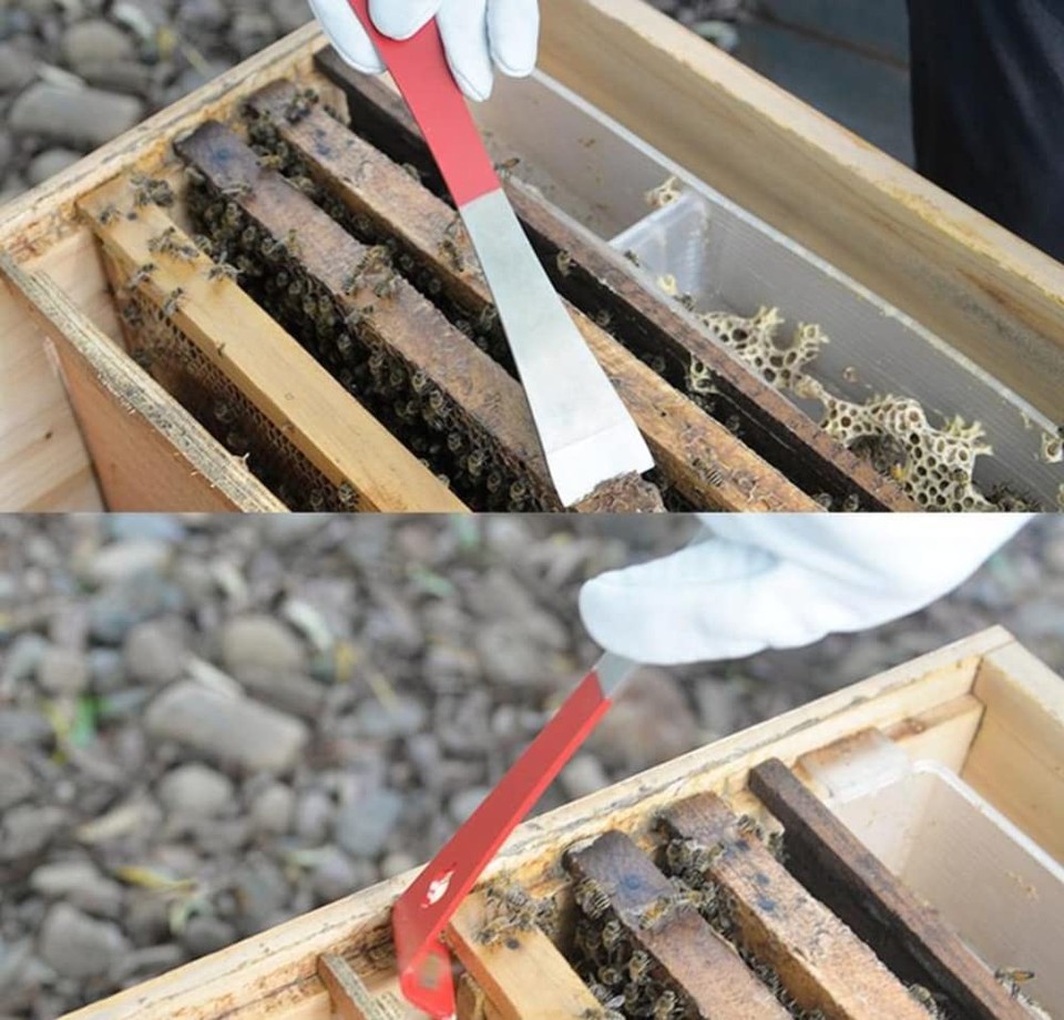 2pcs Stainless Steel Hive Scraper Tools Beekeeping Equipment Bee Hive ...