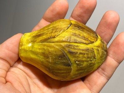 Primitives - Lighted Green