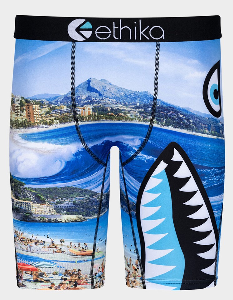 Ethika Mens Boxer Briefs U Choose Large Bomber Lion stripe off Holiday ...