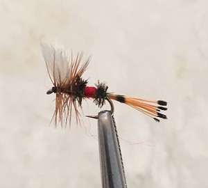 ROYAL COACHMAN - DRY FLY FISHING FLIES - 6 X SIZE #14 FLIES | eBay