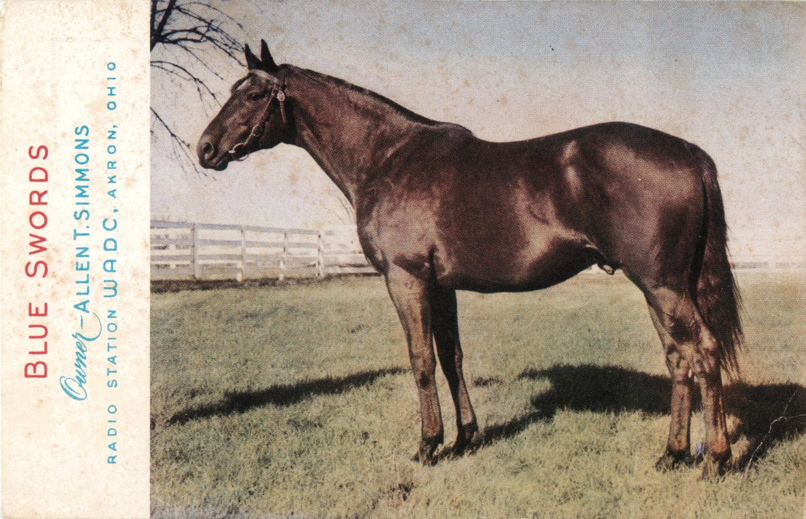 "Blue Swords", Owner, Allen T. Simmons, Radio Station WADC, Akron, Ohio ...