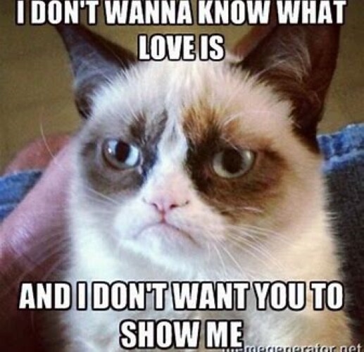 I Love You Grumpy Cat