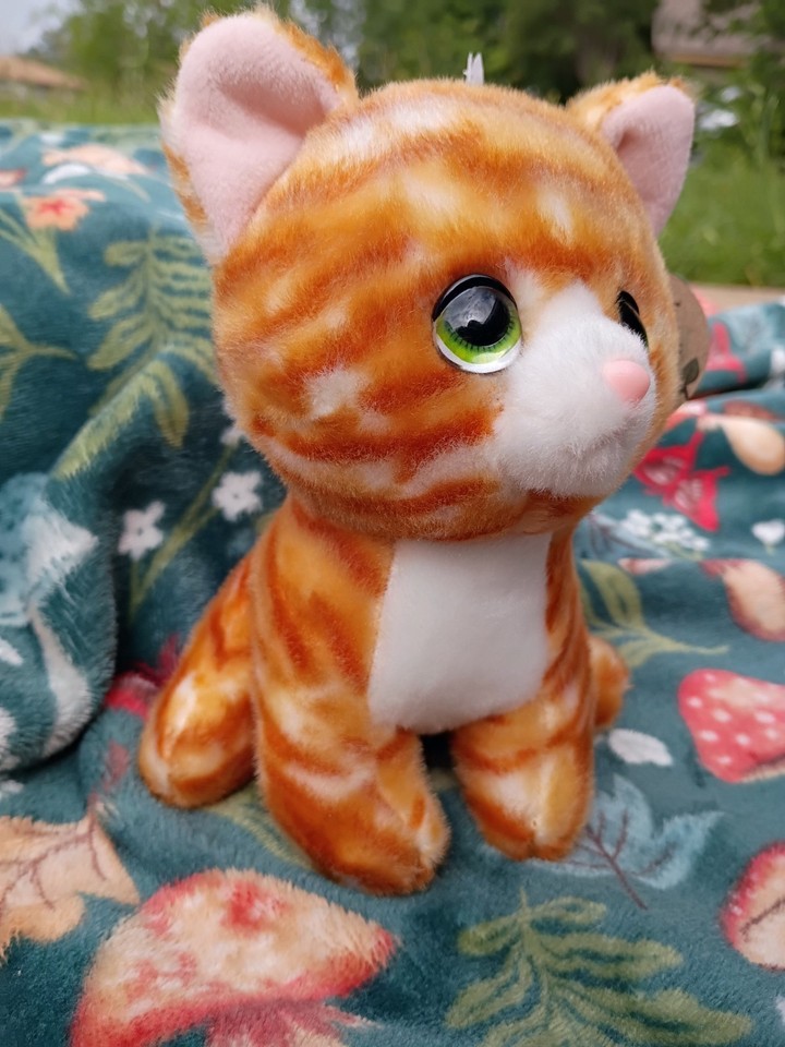 NWT Aurora Petites Nacho Orange Ginger Tabby Cat 7