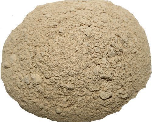 Gall Oak Aleppo oak Masikai Magic Nut Downy Oak Mayakku Mayaphala ...