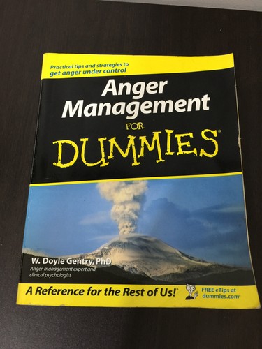 anger management for dummies book softcover 2006 | eBay Australia