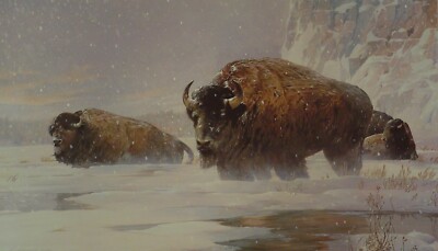 1987 THE FACES OF WINTER - FERNANDEZ - L/E ART PRINT - BUFFALO BISON ...