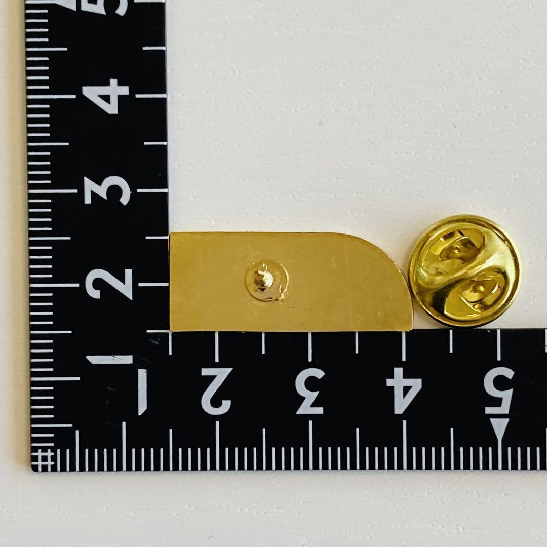 Old Pins 1202 Rainbow Red Logo Mark Avi Vintage Pin Badge | eBay