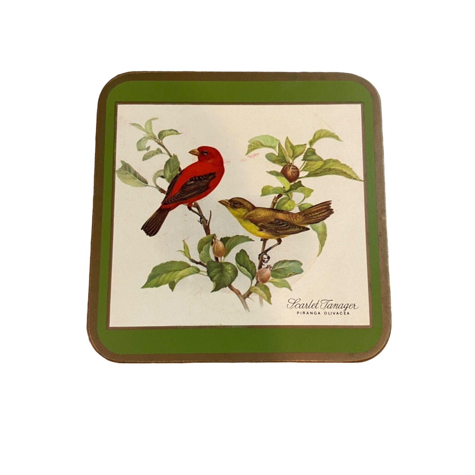 Vintage Pimpernel Songbirds Coasters Cork Back Coasters Set of 6 | eBay