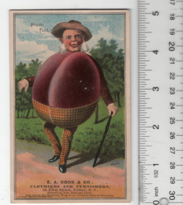 E.A. Cook & Co. Plum Man Victorian Trade Card 1800s 3"x5" VTC-XG130 | eBay