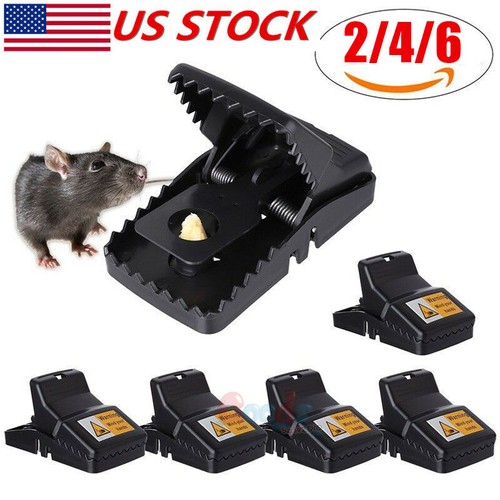 Large Mouse Traps Rat Mice Killer Snap Trap Power Rodent Heavy Duty ...