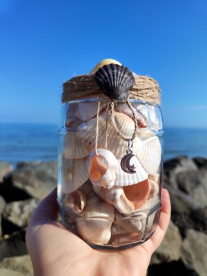 Handcrafted sea shell jar for home decor: Natural shells, rustic ...