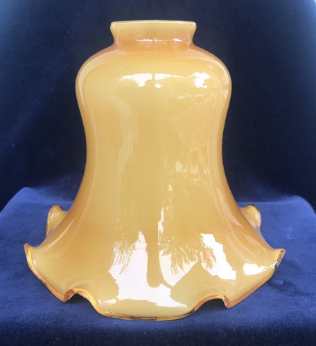VIANNE Lg Amber Butterscotch Cased Vintage Ruffle Glass Bell Tulip ...