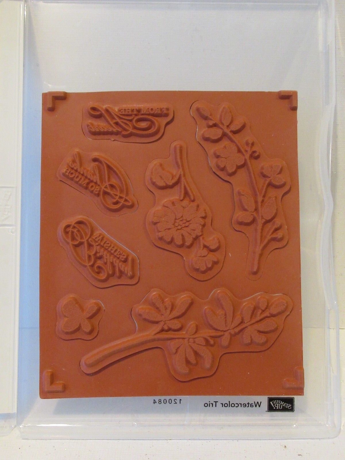 Stampin Up WATERCOLOR TRIO Stamps Floral Silhouette Pressed flowers ...