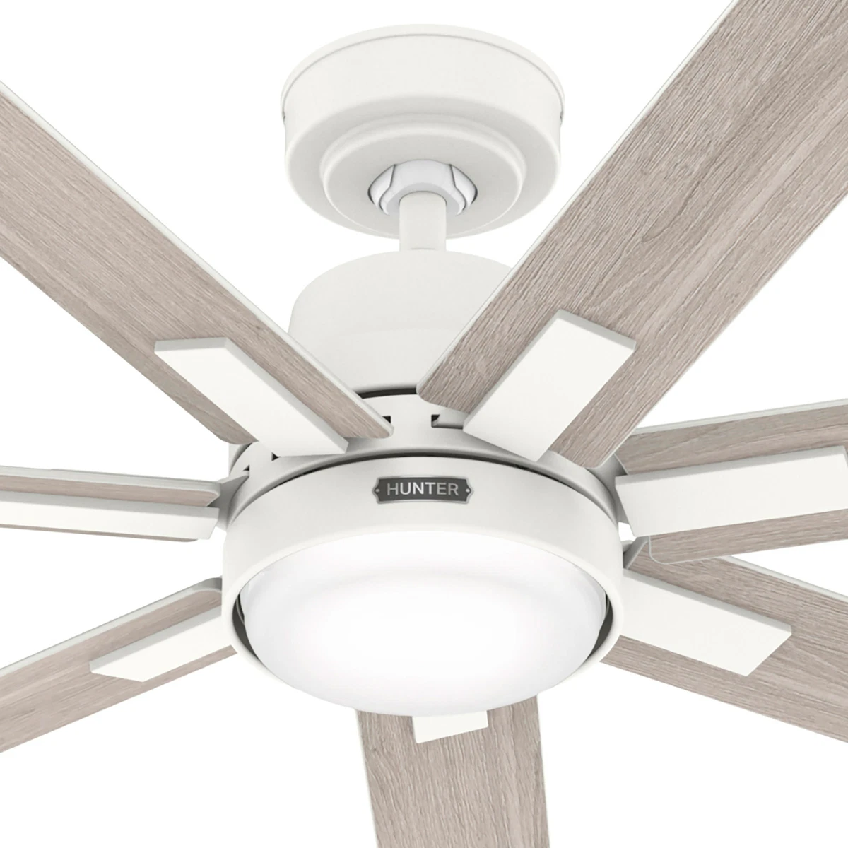 Hunter Ceiling Fans Houston Texas | Shelly Lighting