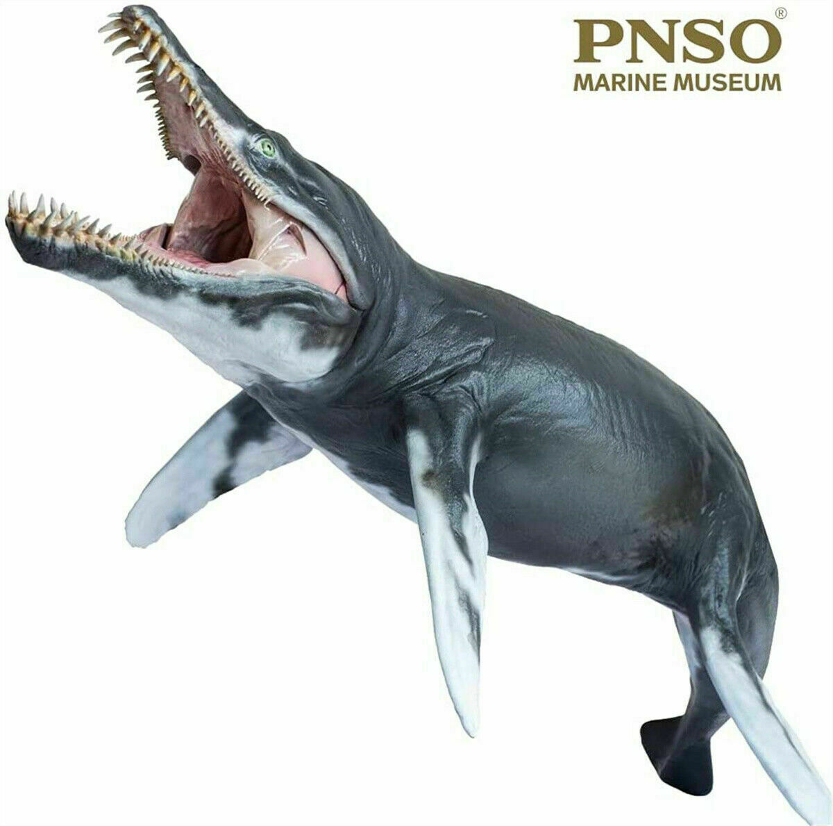 Kronosaurus