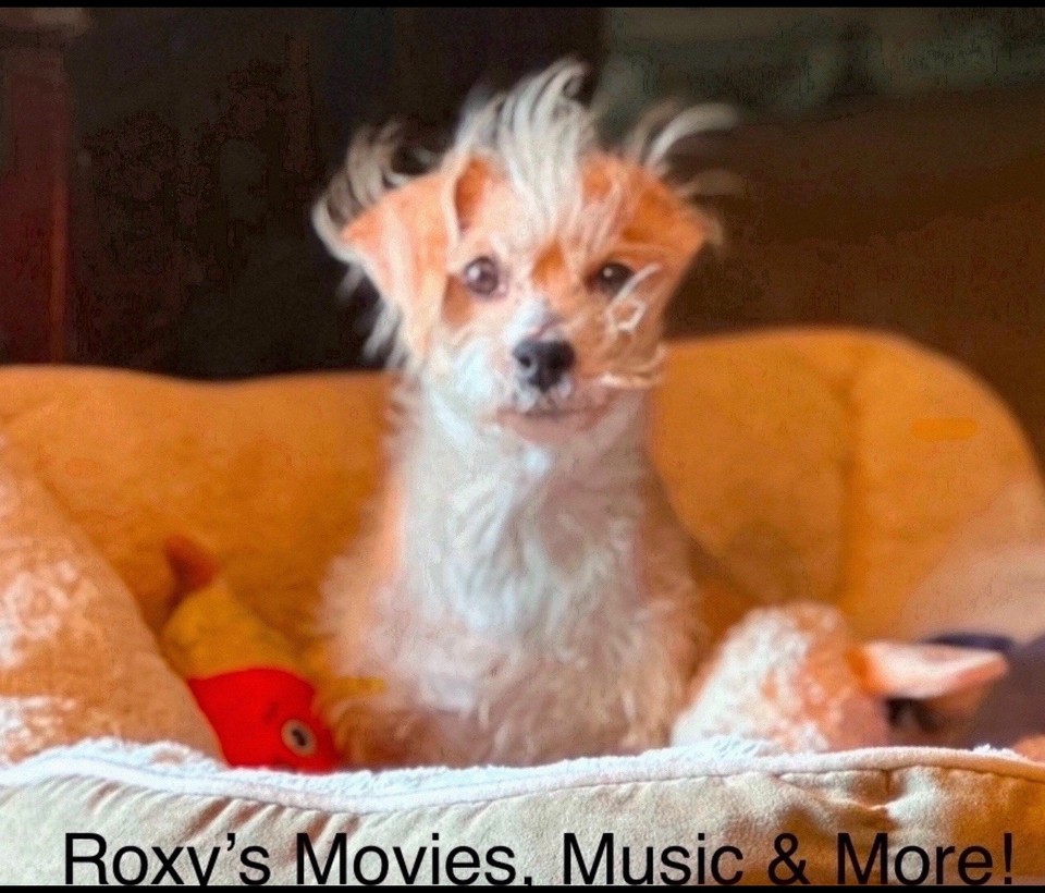 Director Rob Reiner ~ Autographed Photo ~ 8”x10” ‘When Harry Met Sally ...