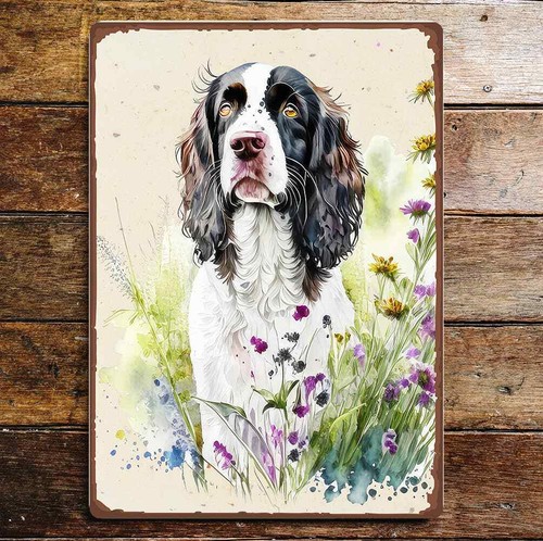English Springer Spaniel Sporting Metal Sign Plaque | eBay UK