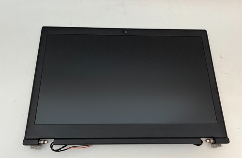 Lenovo Thinkpad P15 Gen 1 Genuine 15.6" LCD Screen Assembly TESTED! | eBay