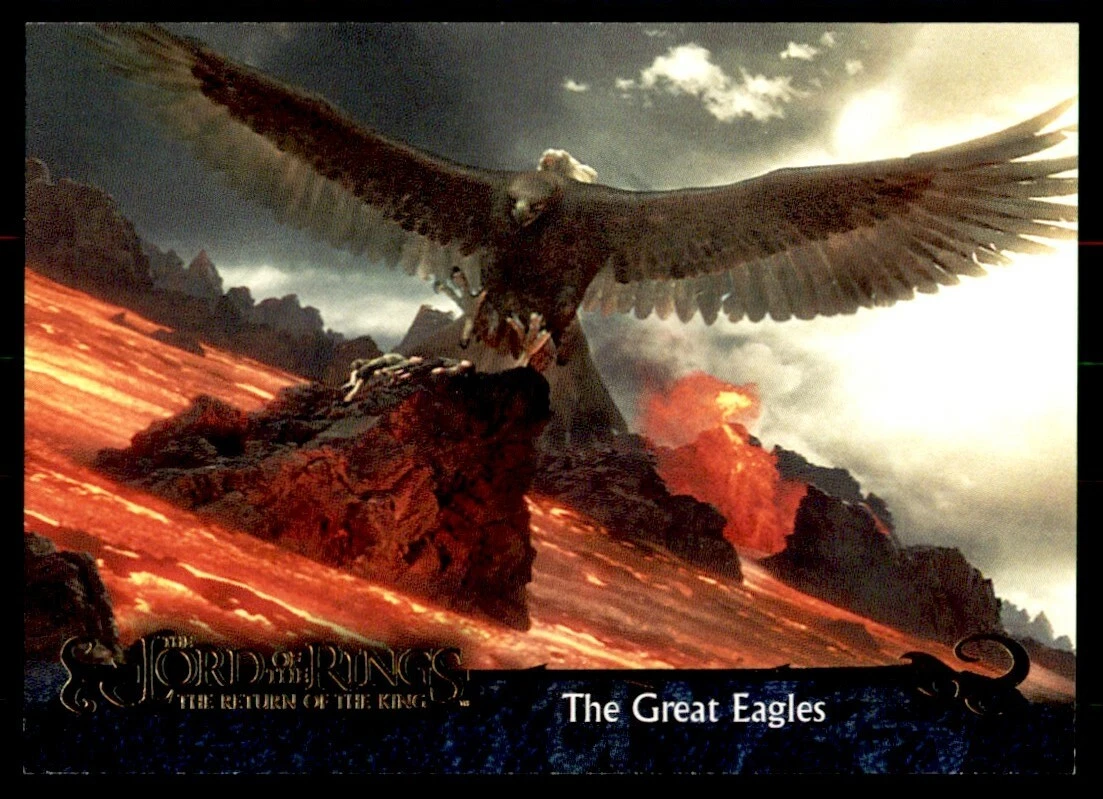 Eagles From The Lord Of The Rings