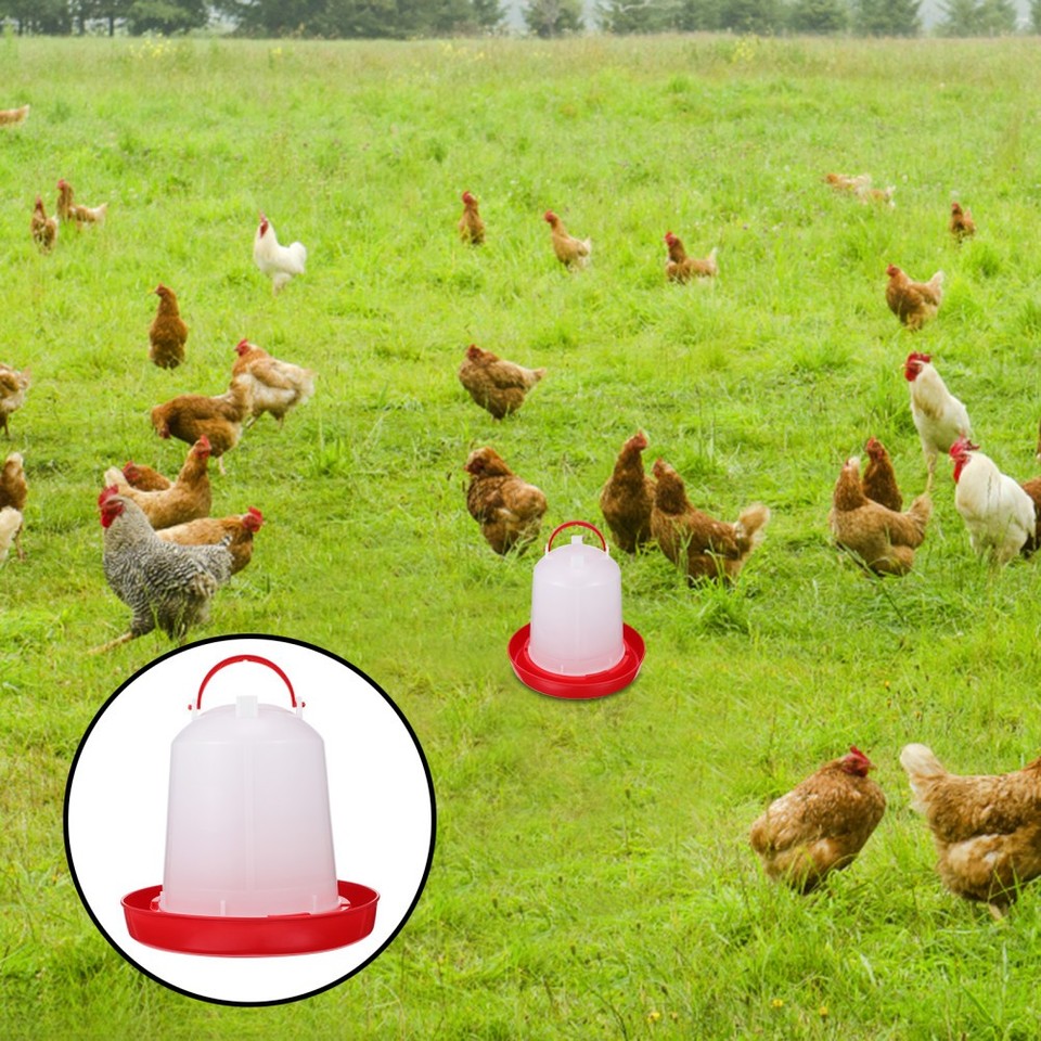 Chick Waterer Poultry Container Automatic Chicken Cup Bucket for ...