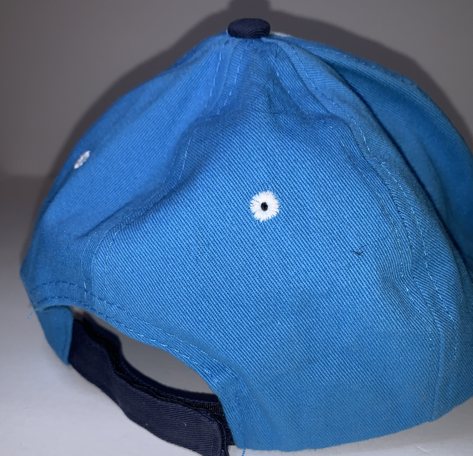 Looney Tunes Adjustable Baseball Hat 2011 Porky Pig Daffy Duck Blue ...