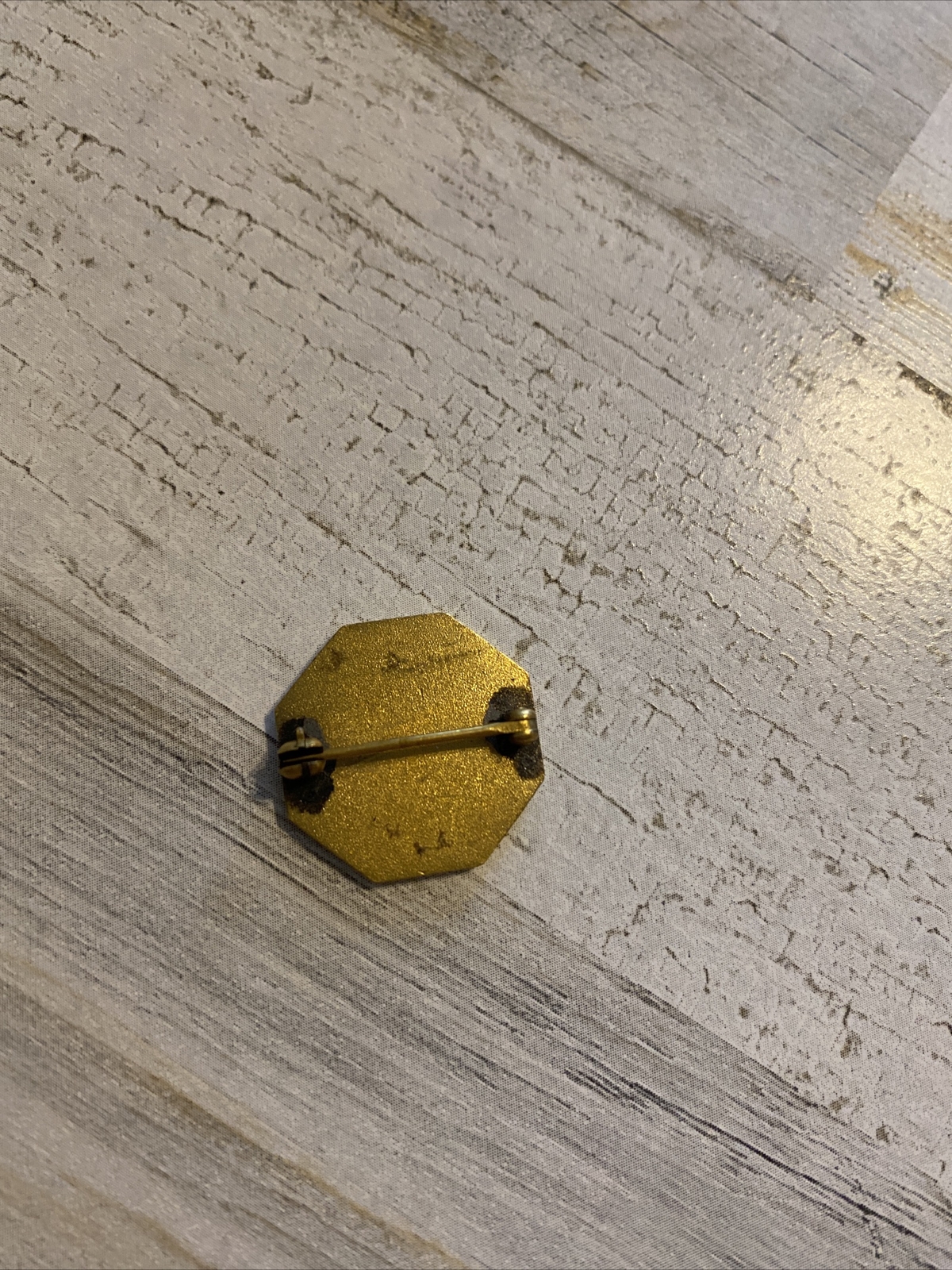 Vintage Hospital Volunteer Service Pin Badge Nisi Dominus Frustra Blue ...