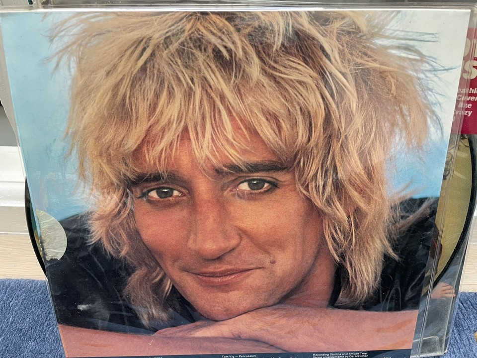 Original Picture Disc Rod Stewart 'Blondes Have More Fun' Warner Bros ...