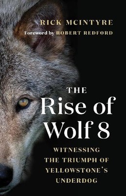 Rick McIntyre The Rise of Wolf 8 (Poche) Alpha Wolves of Yellowstone ...