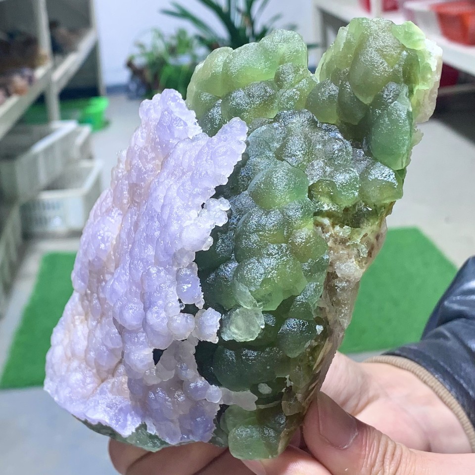 2.14LB Natural Fluorite Green-white dual color crystal mineral Specimen ...