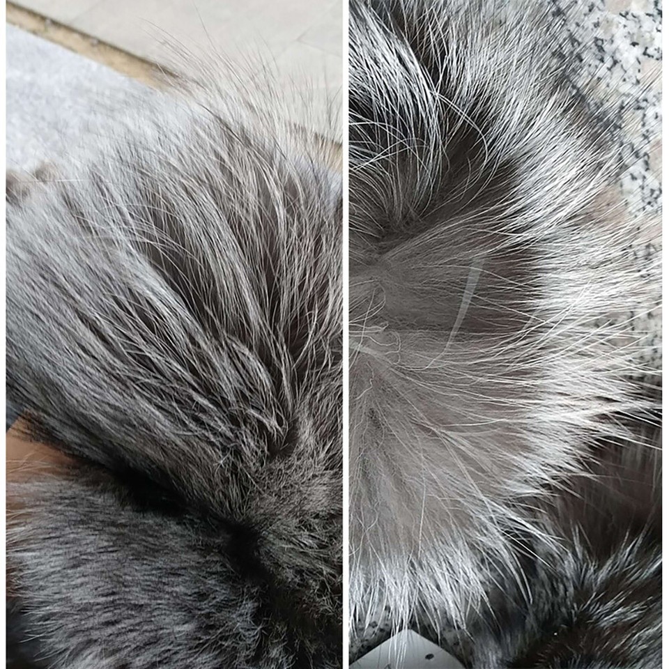 Tanned Silver Fox Skin Fur Pelts Soft Dense Real Leather Hides 39-47 ...