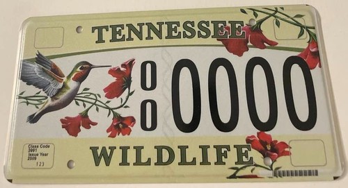 Tennessee Wildlife Specialty Sample License Plate Hummingbird | eBay