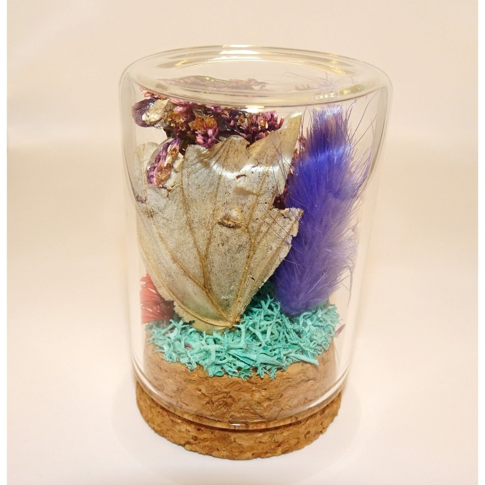 June Bug Bee Wasp Nest & Luna Moth Wing Oddity Jar curiosity taxidermy ...