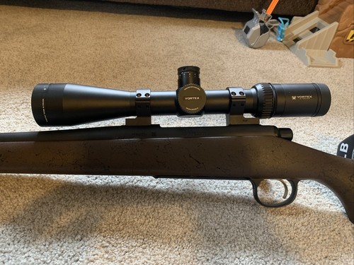 Talley Remington 700 Lightweight 30mm Low Scope Rings Black 730700 for ...