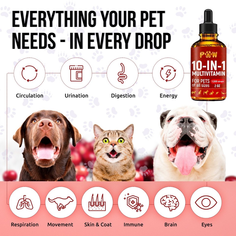 Liquid Multivitamin for Dogs | Multivitamin for Cats | Vitamins for ...