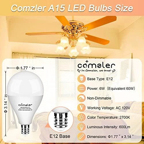 Ceiling Fan Bulb Base Type | Shelly Lighting