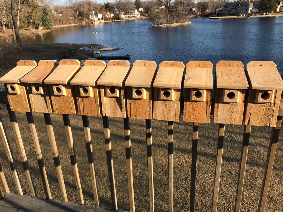 Cedar Bluebird Bird House 3/4" THICK Cedar Birdhouse! Predator Guard ...