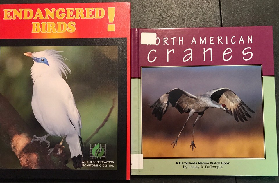 Birds Set of 6 Books Science Homeschool Eagle Swan Loon Falcon ...