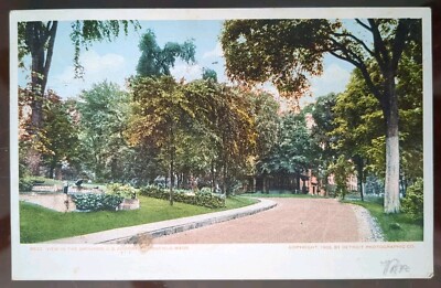 View in the Grounds, US Armory, Springfield, MA - 1906, Rough Edges | eBay