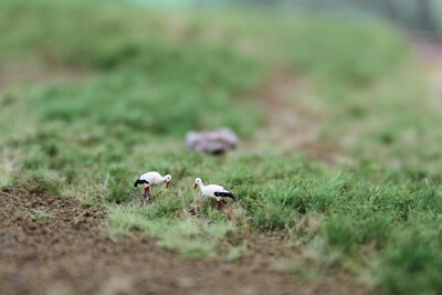 N Scale Animals - NK05 - N Storks on nest with 2 young - Hand Painted ...