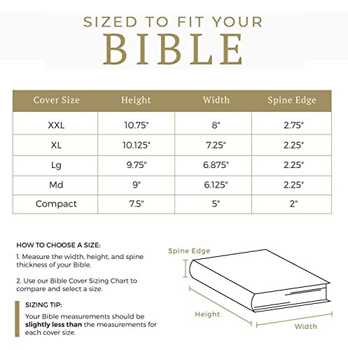 Divinity Boutique Bible Cover Basic Black - Extra Large Fits 7.25 x10 ...