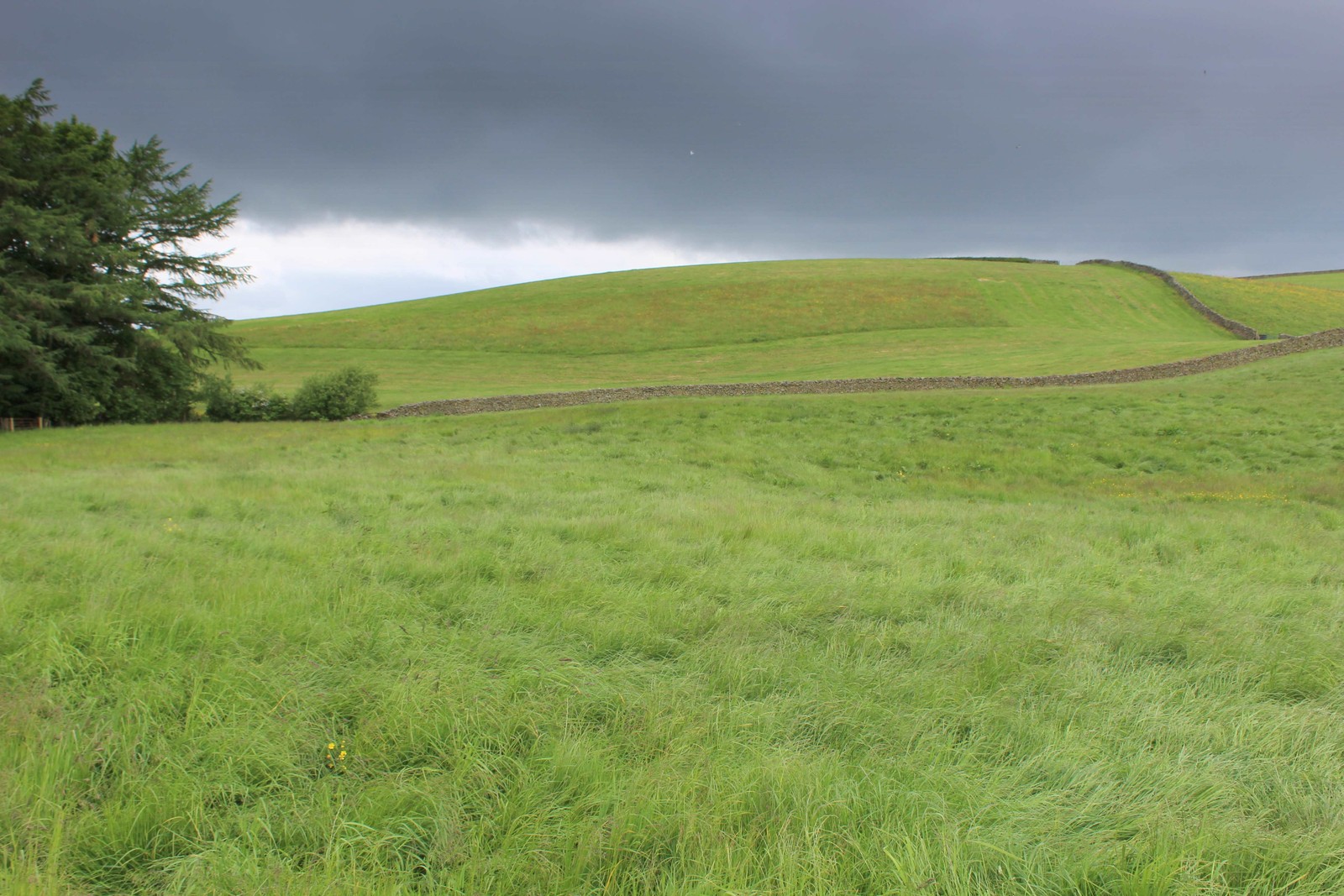 Photo A3 Fields North of Hood Ridding Farm Old Hutton/SD5688 c2015 | eBay