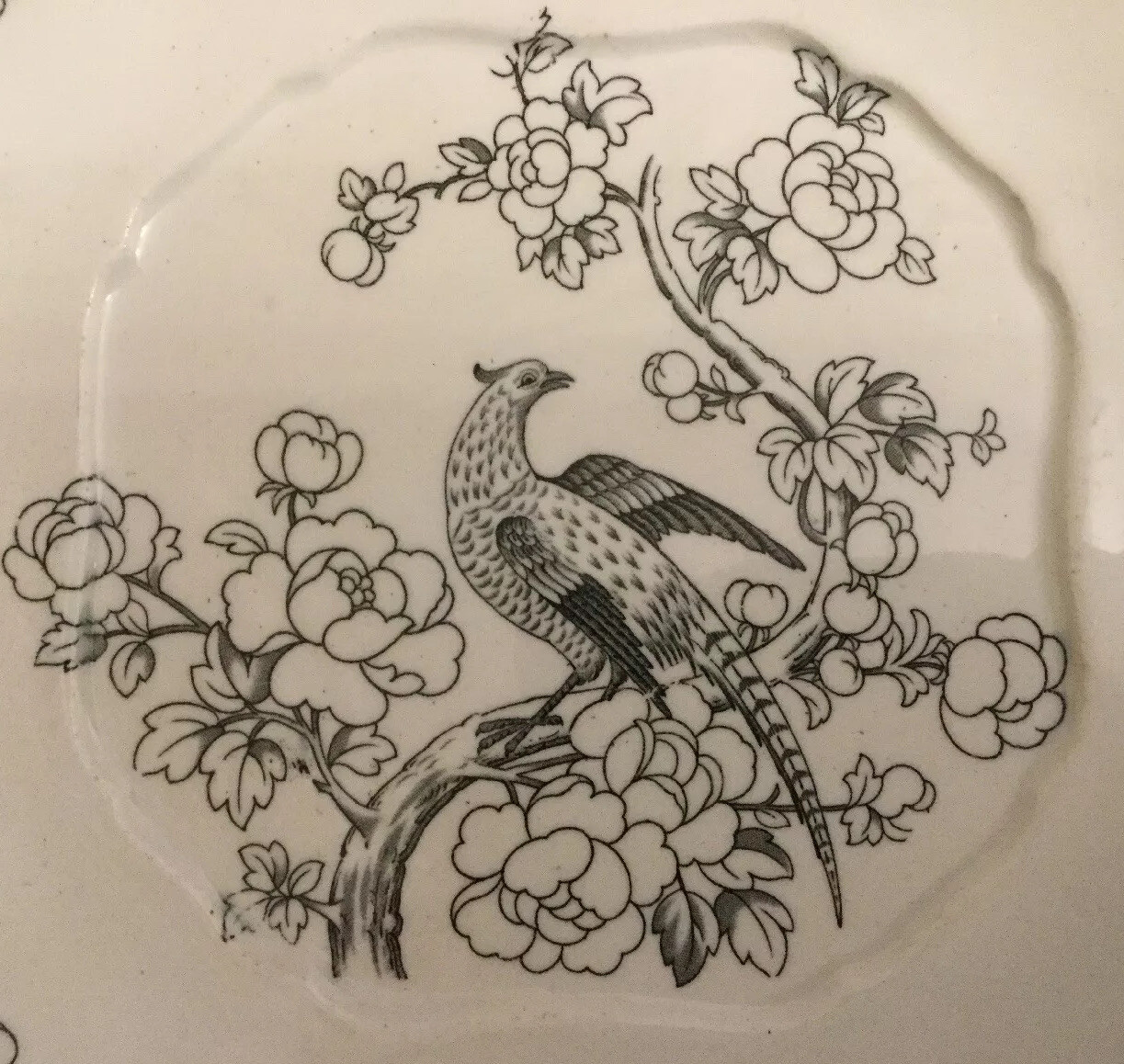 Antique Pheasant Serving Plate By F Winkle & Co Whieldon Ware-Rare Grey ...