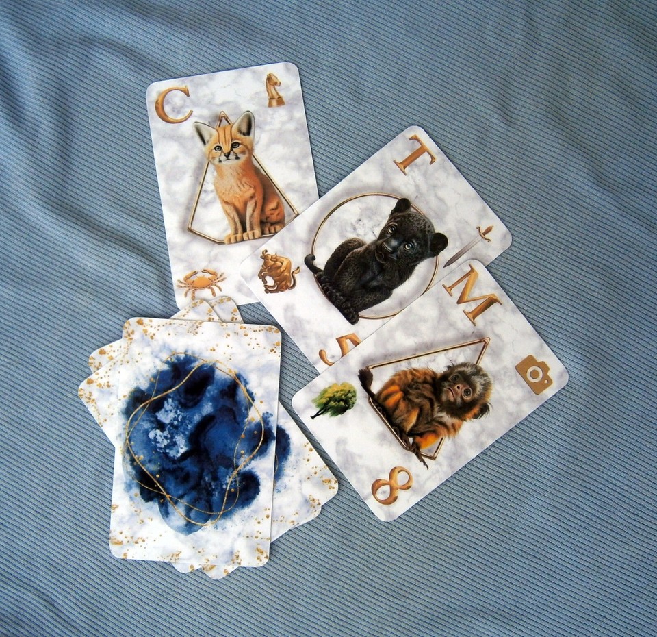 Signs of Destiny Oracle Deck | 30 Laminated Cards with Numbers, Letters ...