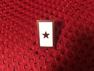 GOLD STAR MOTHERS GOLD STAR HAT/LAPEL PIN | eBay