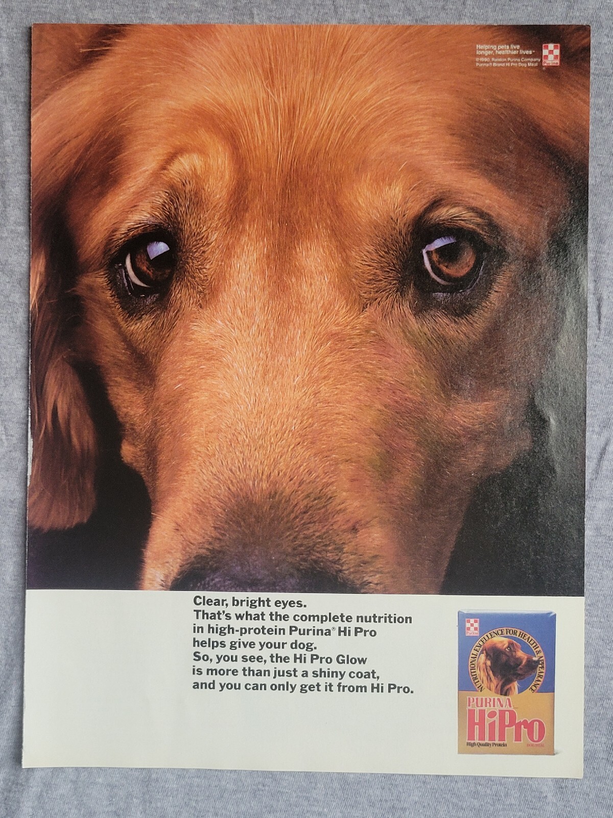 1990 Magazine Advertisement Page Purina Hi Pro Dog Food Golden ...